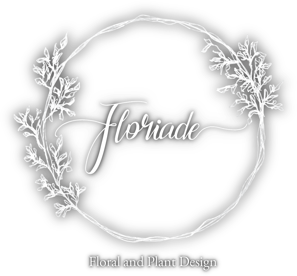 Floriade ~ Florist • Flowers • Miramar • Wellington